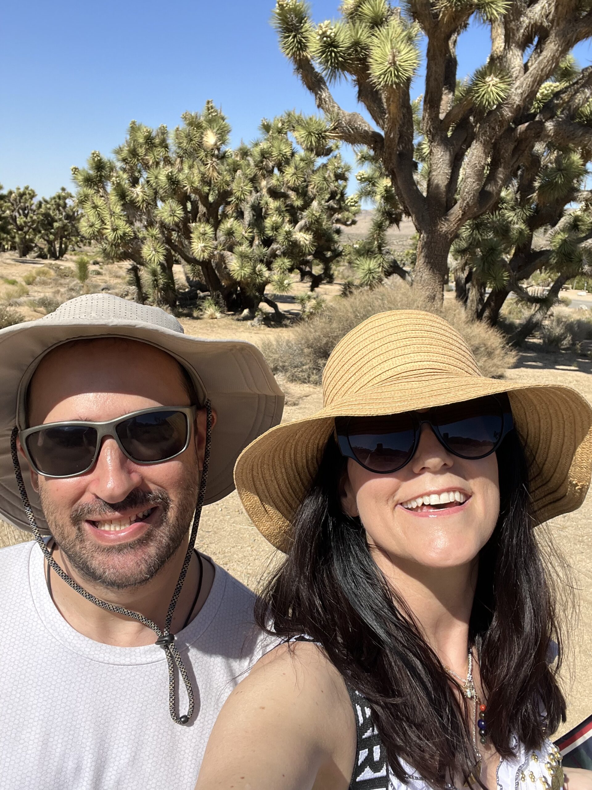 About – Hill and Mike